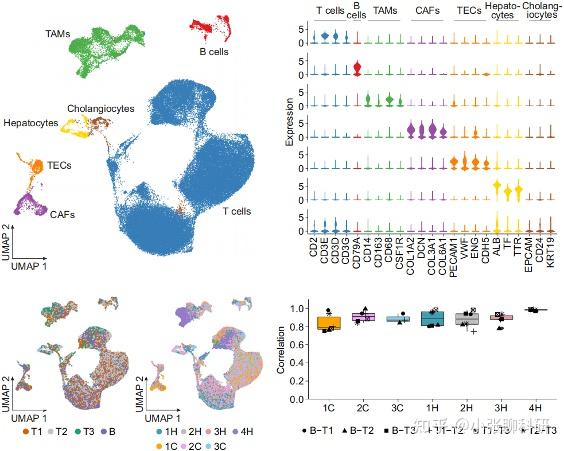 文献详解丨肿瘤与免疫细胞互作好比锁钥？这篇NC文章把scRNA-seq玩出新花样 - 知乎