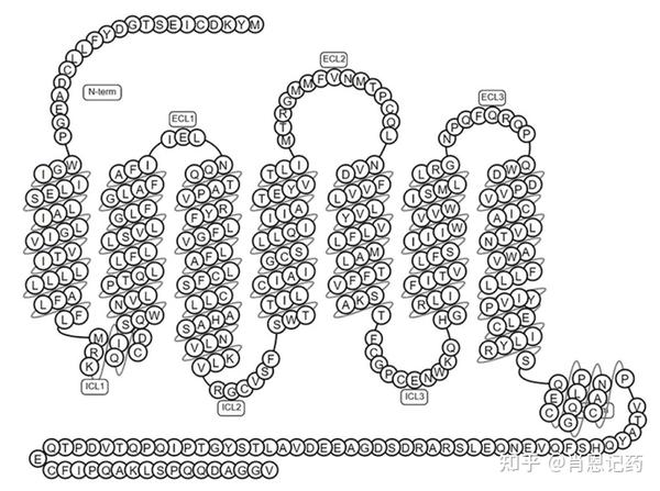 记住所有FDA生物药 | GPRC5D×CD3双抗 | TALVEY® talquetamab | 多发性骨髓瘤 - 知乎