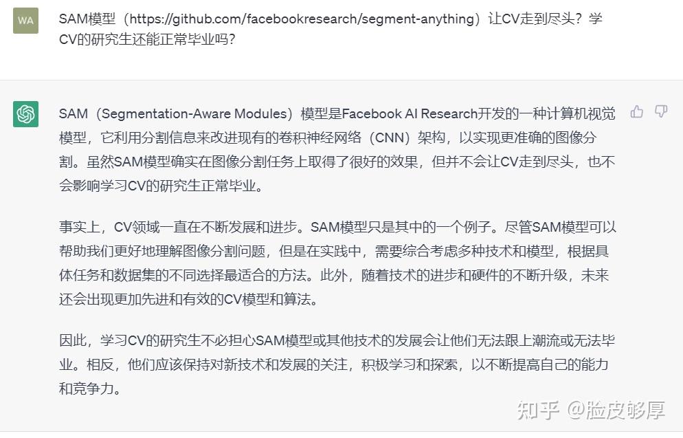 SAM（Segment Anything Model）让CV走到尽头？学CV的研究生还能正常毕业吗？怎么使用SAM？ - 知乎