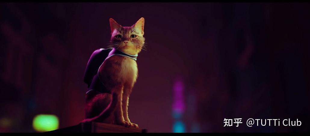 想来一场赛博朋克式吸猫吗？萌猫冒险《Stray》你值得拥有 - 知乎