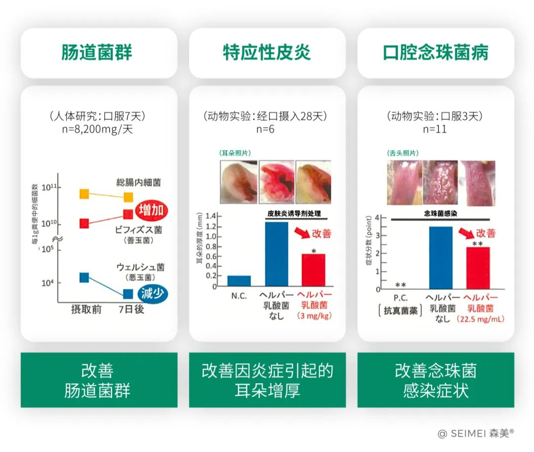 一篇看懂SEIMEI PB ONE - 知乎