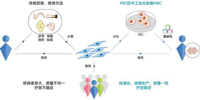 iPSC衍生MSC细胞疗法的成药之路在何处？ - 知乎