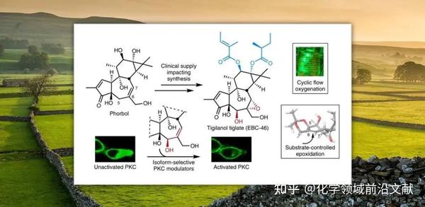 Wender组Nat. Chem.：抗癌药EBC-46及其类似物的克级规模半合成 - 知乎