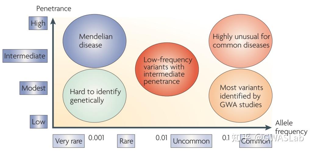 解释复杂疾病的四种主流模型 Cdcvrameinfinitesimalbroad Sense Heritability 知乎 