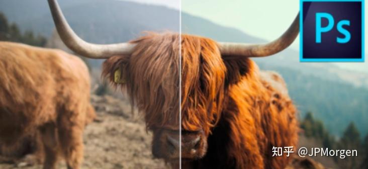 Lookup Table(LUT)原理及其应用 - 知乎