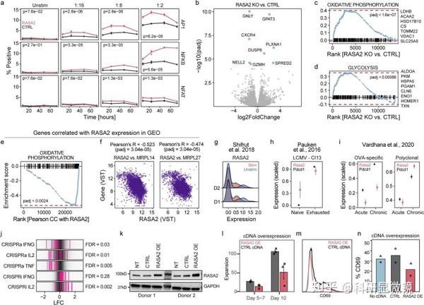 nature前沿为2023年国自然提供研究思路：CAR - T细胞治疗新靶点RASA2带来了可持久击杀肿瘤的T细胞 - 知乎
