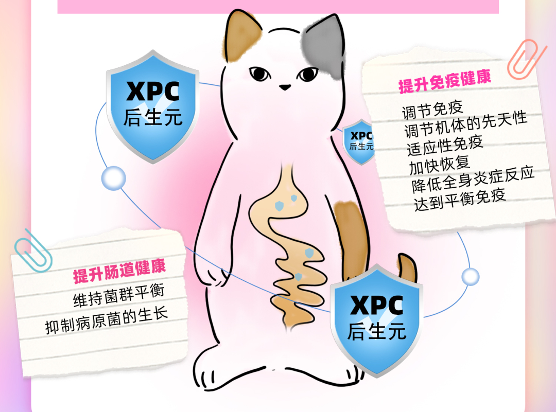 玫斯科普丨XPC后生元在宠物食品中的运营与解析 - 知乎