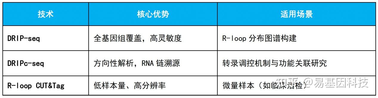 易基因：RNA甲基化修饰和R-loop的交叉调控：从分子机制到临床意义｜深度综述 - 深圳市易基因科技 - 博客园