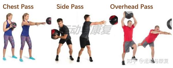 肩峰撞击综合征的4个康复阶段（肩痛康复） - 知乎