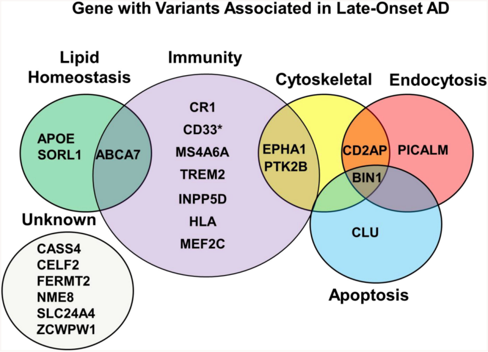 阿尔茨海默症风险基因研究汇总 - 知乎