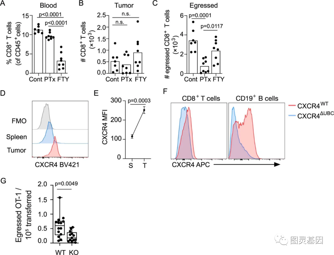 Nat Immu | 限制T细胞从肿瘤中逃逸，改进黑色素瘤免疫疗法 - 知乎
