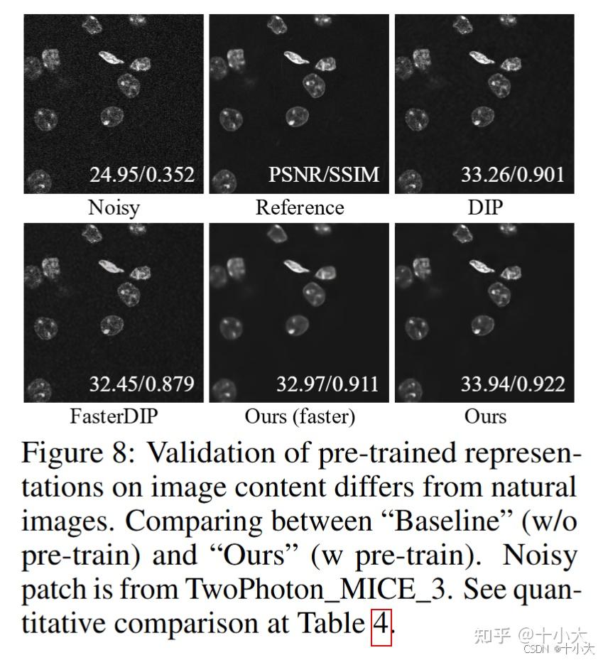 NeurIPS 2024 | MPI：掩码后的自然图像预训练模型用于单噪声图像推理，Zero-shot去噪！ - 知乎