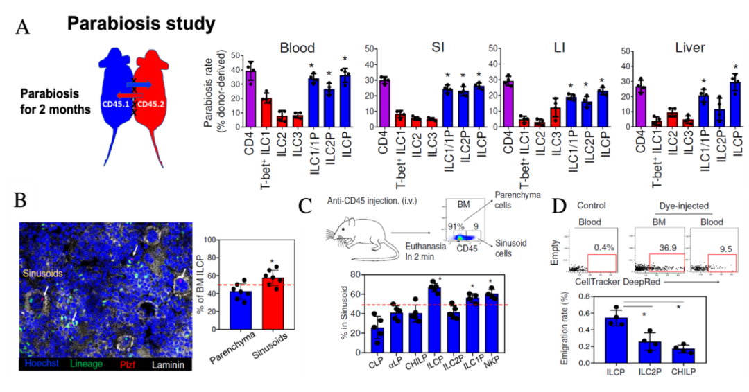 Sci Adv︱刘庆洋等揭示骨髓中ILC 前体细胞外迁机制以及其对肠道炎症中的组织保护作用 - 知乎