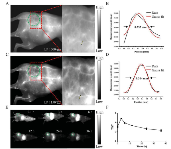 纳米探针 | PEE策略提高NIR-II荧光团亮度和减少NIR-II荧光团的肝脏保留率 - 知乎