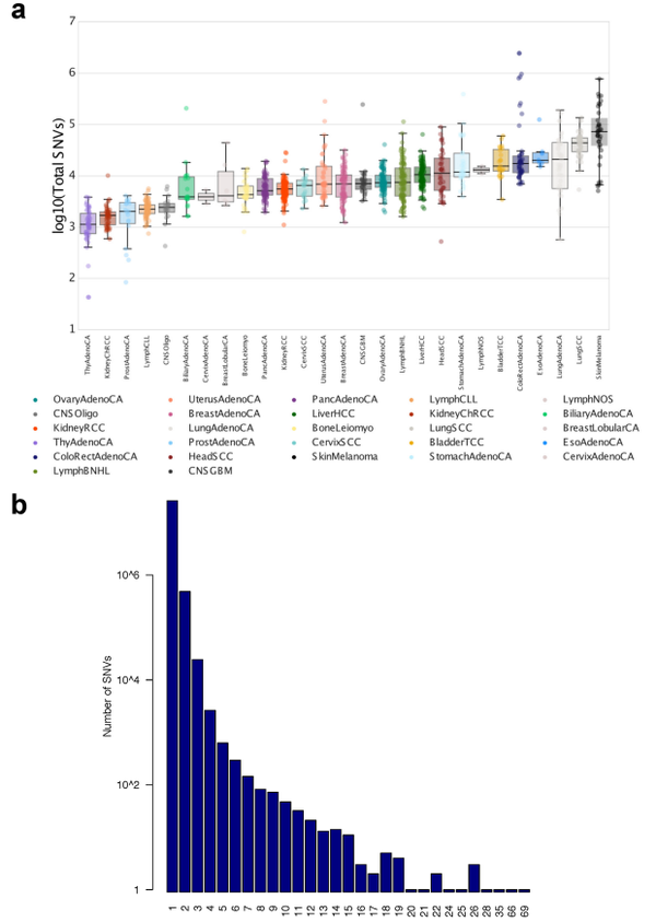 Nature | 癌症中转录组变化的基因组基础 (1) - 知乎