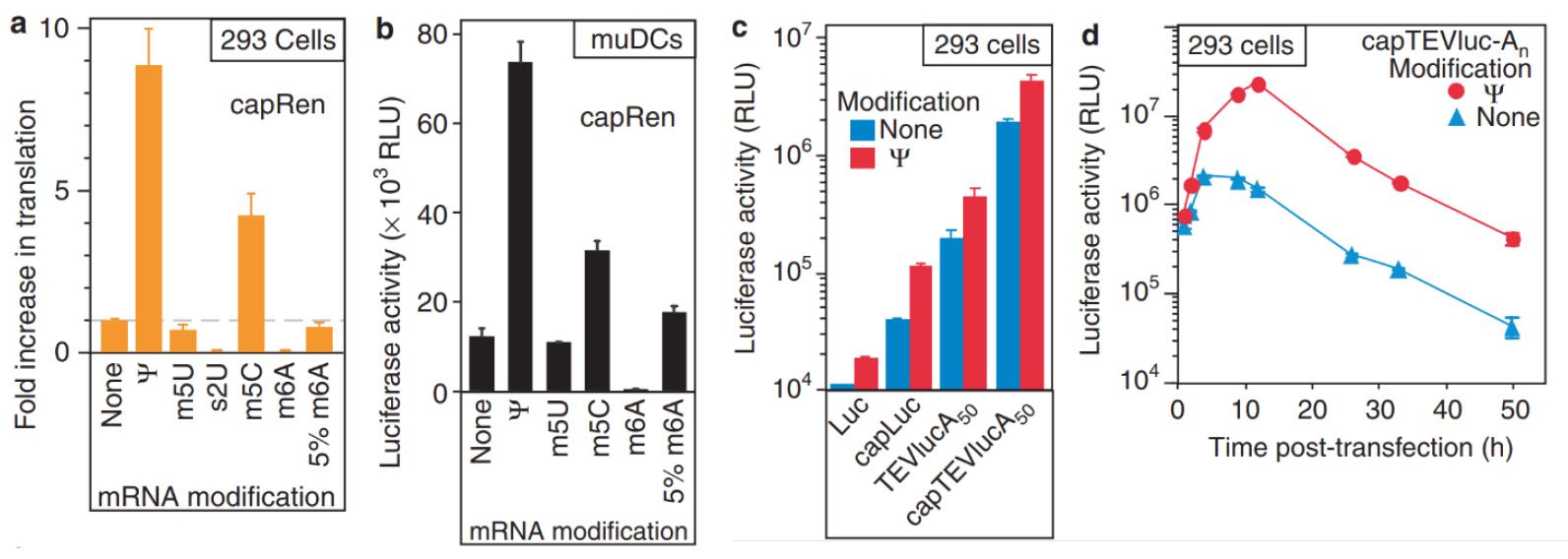 Sce PUS1 - 创新酶学法，让 Ψ 修饰更简单 - 知乎