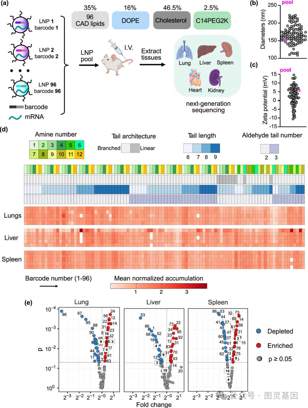 Nat Comm | 宾夕法尼亚大学使用DNA条码编码脂质体跟踪mRNA药效 - 知乎