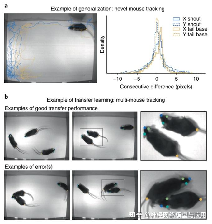 DeepLabCut：markerless pose estimation of user-defined body parts with ...