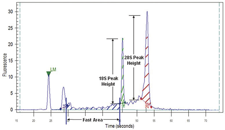 快！更省！高通量核酸片段化分析系统——LabChip GX Touch - 知乎