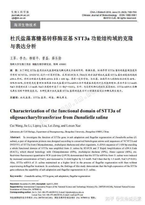 杜氏盐藻寡糖基转移酶亚基STT3a功能结构域的克隆与表达分析 - 知乎