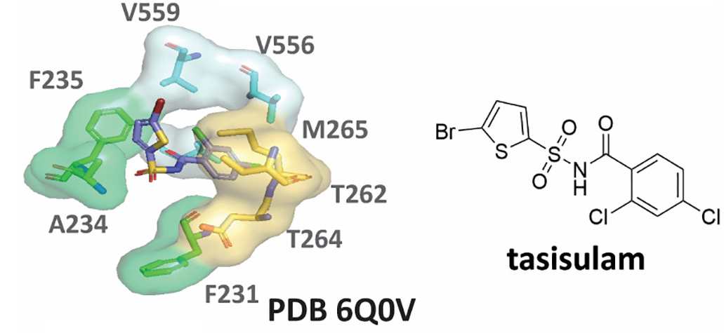 【Cell Chemical Biology】降解型分子胶分子机制总结 - 知乎