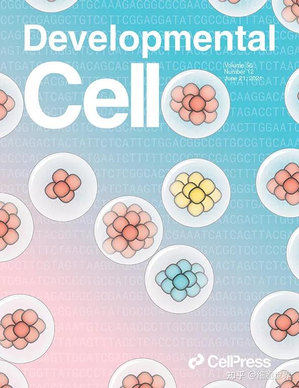 2021年6月，这些研究登上Cell Press期刊封面！ - 知乎