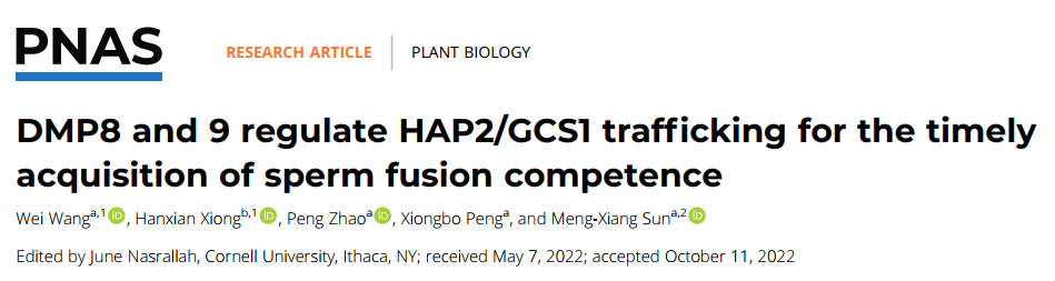 PNAS | 武汉大学孙蒙祥团队揭示植物受精新机制 - 知乎
