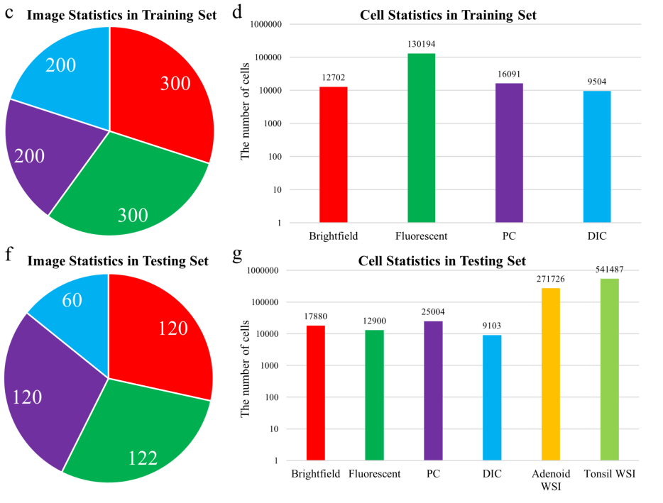 NeurIPS 2022 Cell Seg 数据集介绍 - 知乎