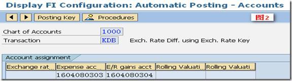 SAP License：中国会计准则下的SAP研究——外币评估篇 - 知乎