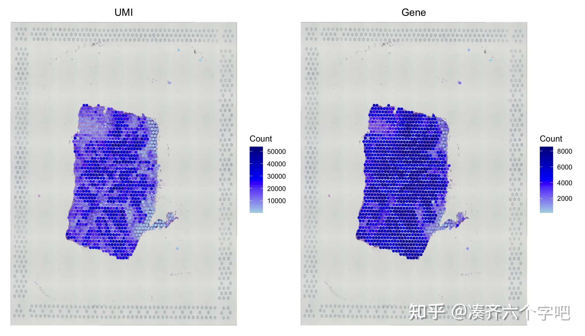 基于Seurat的空转单样本数据分析流程学习(三)-SpaCET - 知乎