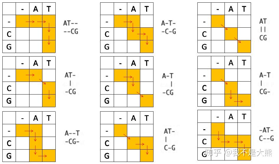 如何理解矩阵、路径与序列比对（Needleman-Wunsch，Smith-Waterman） - 知乎