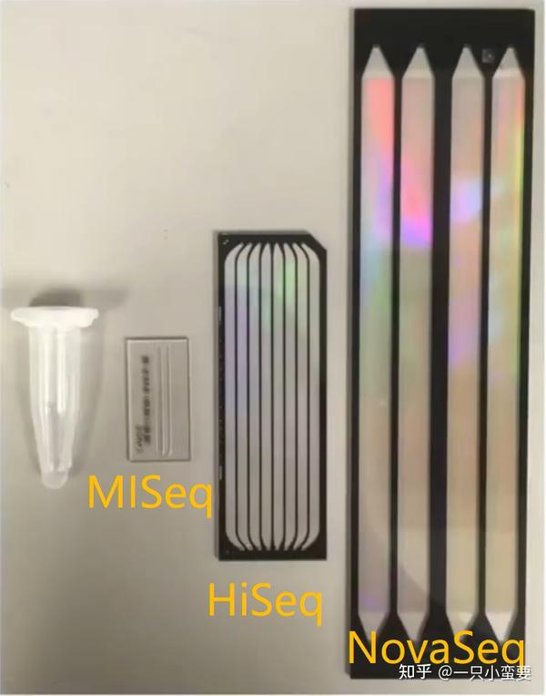 【中英双语】Illumina测序原理详解 | 边合成边测序 - 知乎