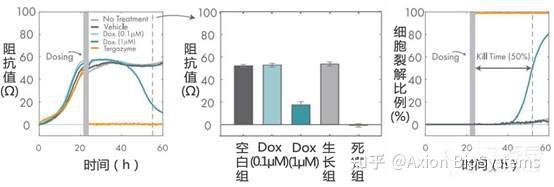 Maestro Z - 实时无标记细胞分析系统 - 知乎