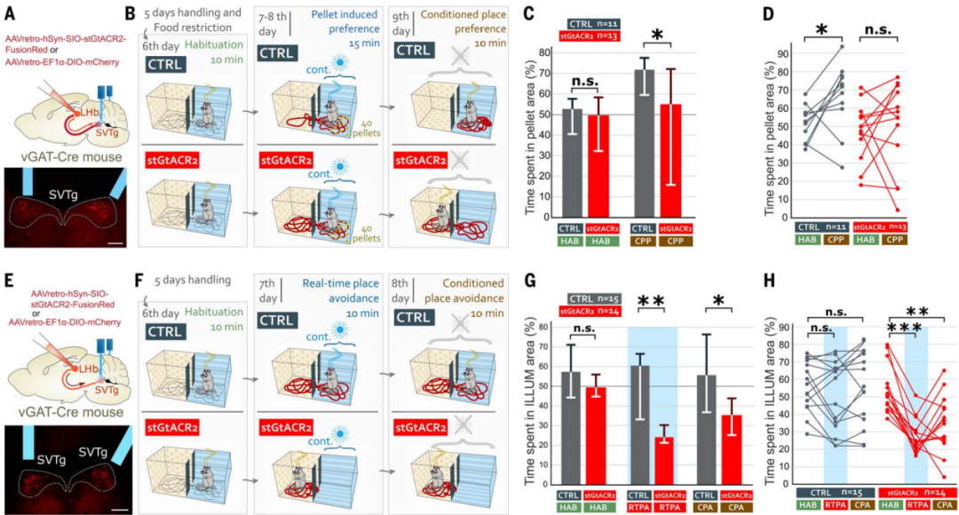 客户文章丨Science丨揭秘新奖赏中枢：从神秘核团到情绪密码 - 知乎