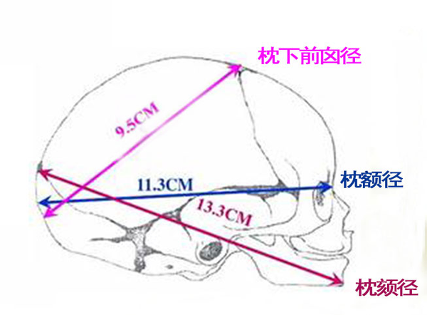 对胎位的描述LOA \ ROA \ LSA是？？？？ - 知乎