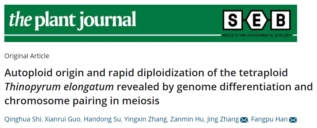 Plant Journal | 中科院遗传发育所韩方普研究组在植物多倍体研究中取得新进展 - 知乎