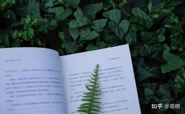 如何拍出有故事感的照片9个摄影技巧教大家 知乎