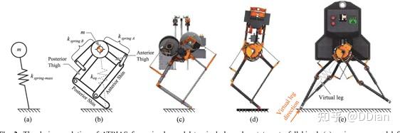 Agility Robotics 的机器人系列：ATRIAS 和 Cassie 反屈膝的鸵鸟腿 （1） - 知乎
