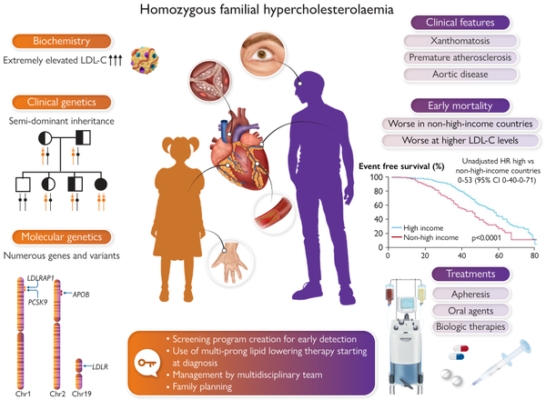 EHJ杂志发布2023年EAS纯合子家族性高胆固醇血症（HoFH）共识声明 - 知乎