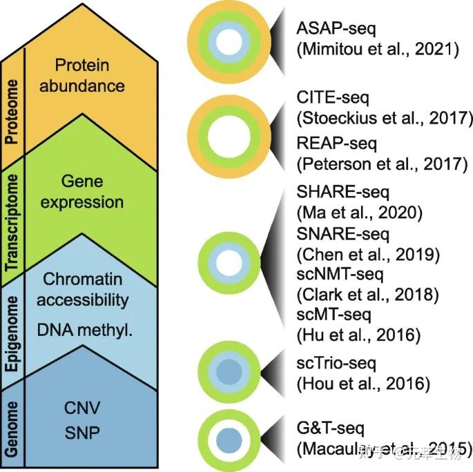 技术介绍| 单细胞多组学（一）：Multiome（ATAC + Gene Expression） - 知乎