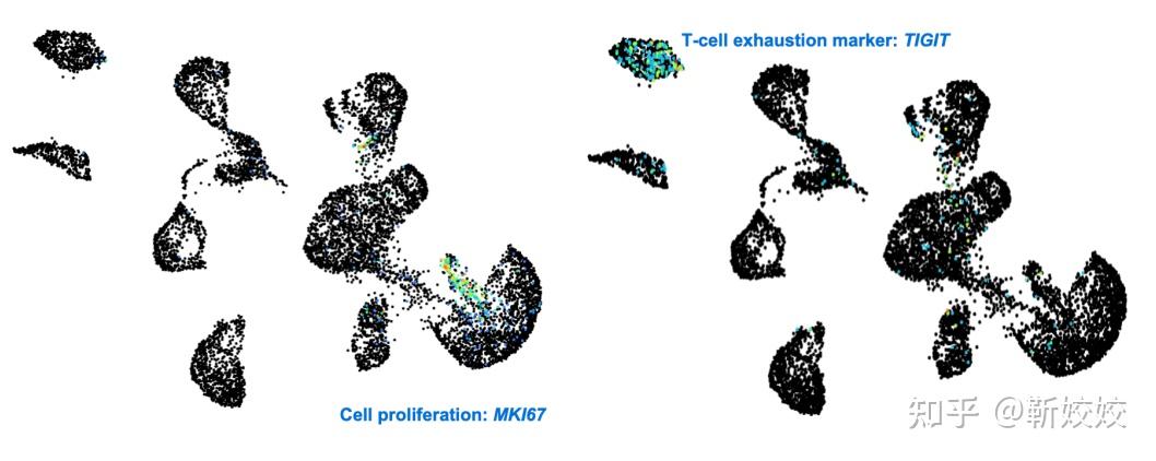 小白课堂 | 挑战不可能，FFPE样本该如何进行单细胞测序？ - 知乎
