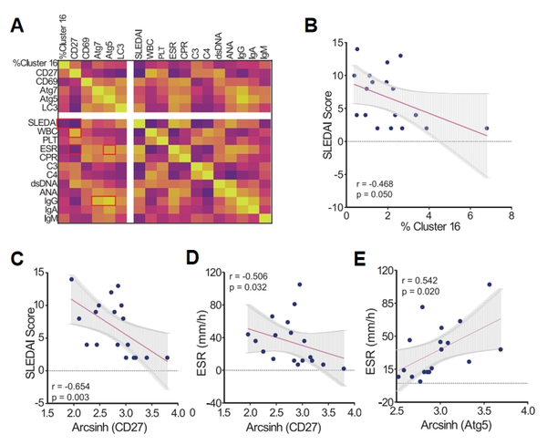Adv Sci （IF=15.1）：质谱流式（CyTOF）联合单细胞多组学发现系统性红斑狼疮相关的T细胞亚型 - 知乎