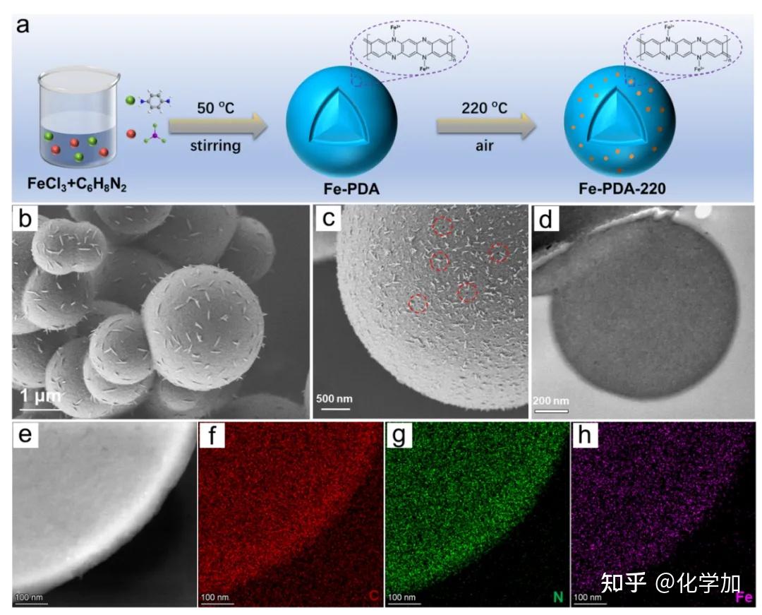 上海交大陈接胜/王开学团队Angew：由Fe-C₁₂N₈中心构成的有机金属聚合物促进钠离子储存 - 知乎
