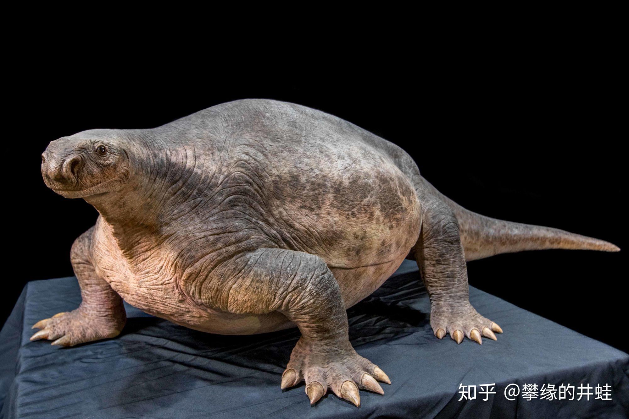【地球演义】百兽图2：大脚 - 知乎