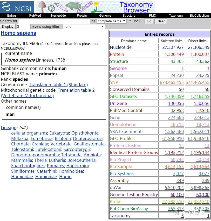 NCBI物种分类数据库（Taxonomy） - 知乎