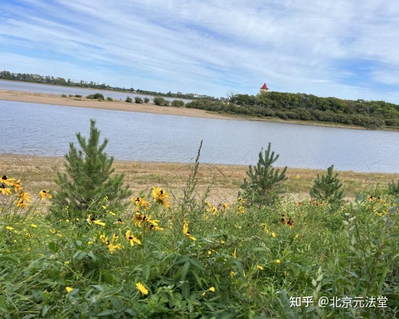 曹老师辩理说法之刑事篇：暴力袭辅警，该定什么罪？ - 知乎