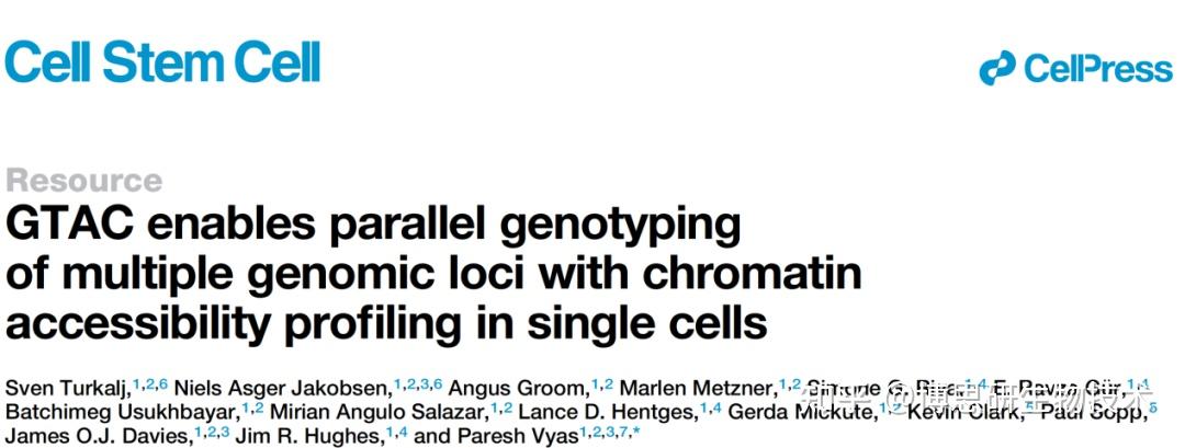 Cell Stem Cell | 新方法GTAC实现单细胞水平染色质可及性分析和多位点基因型鉴定 - 知乎