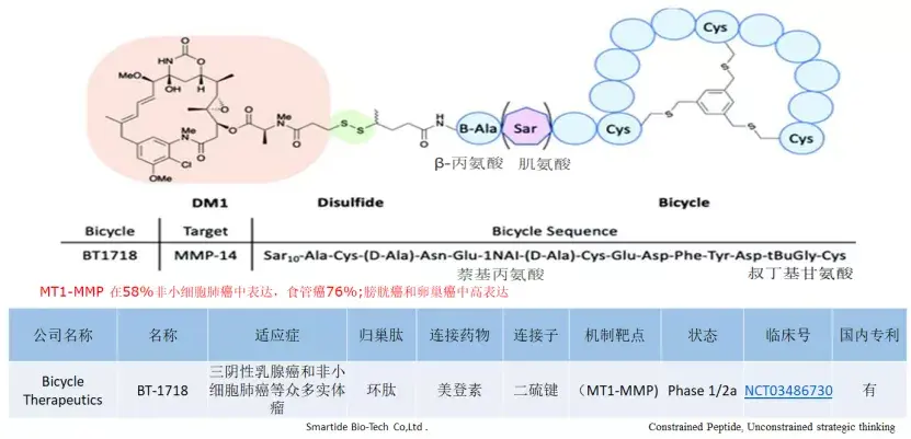 多肽偶联物（PDC）会是下一个风口？一文解读全球热点在研PDC及其技术 - 知乎