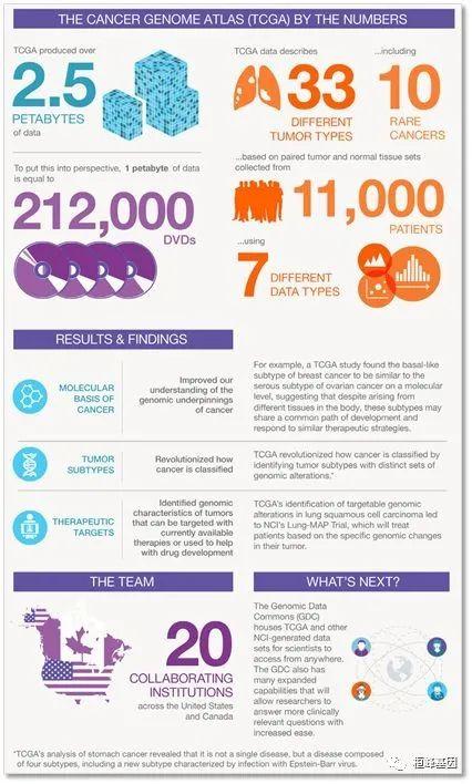 TCGA 概述及 Barcode 详解 - 知乎
