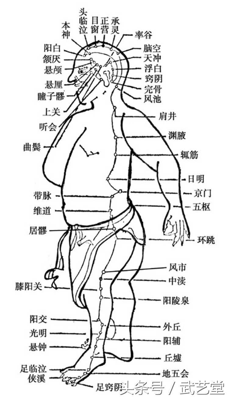 十二经络走向图及穴位养生调理方法 - 知乎